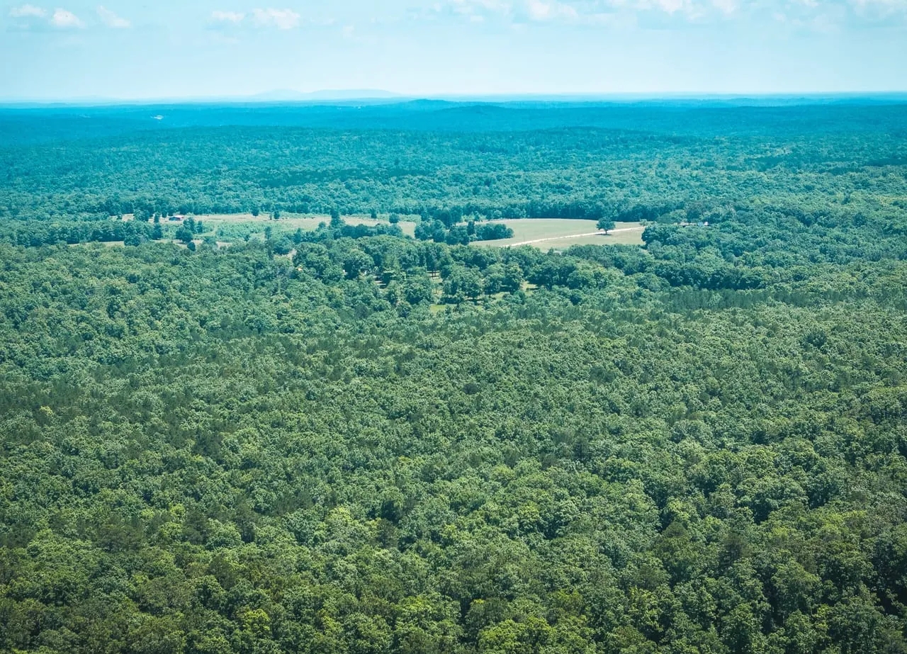 Land Timber 92 - Hunting Land for Sale - HuntingLocator.com - HuntingLocator.com