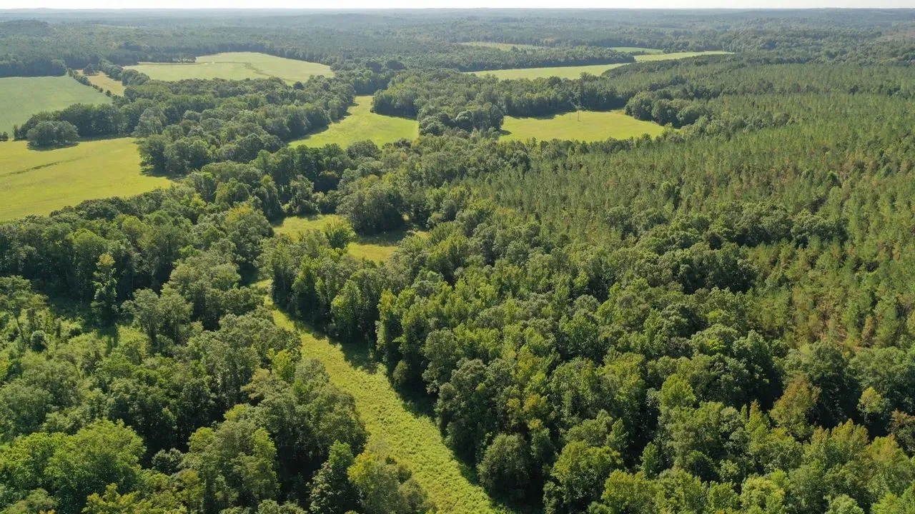 4K Quarter Circle Ranch - Hunting Land for Sale - HuntingLocator.com ...