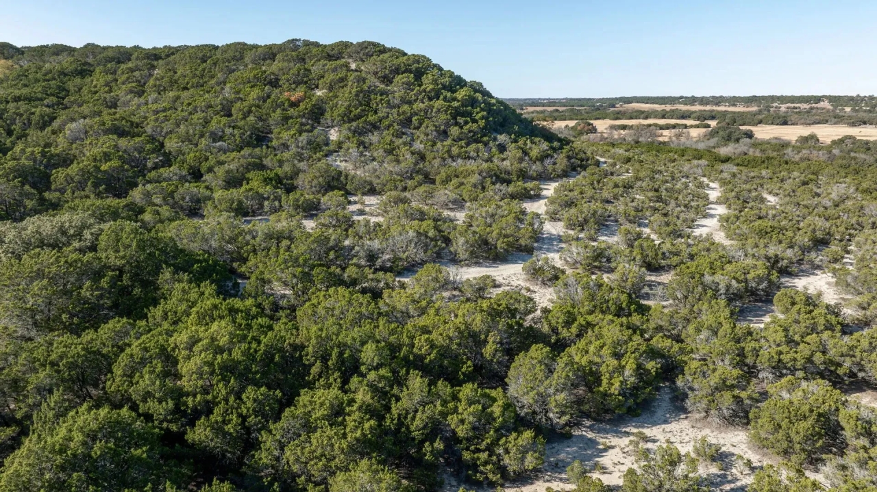 ROCK RIDGE RANCH Bosque County - Hunting Land for Sale - HuntingLocator ...