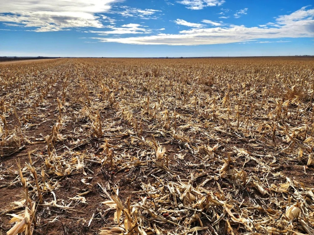 Section of Prime Cropland Pasture with Mostly Class II Soils - Hunting ...