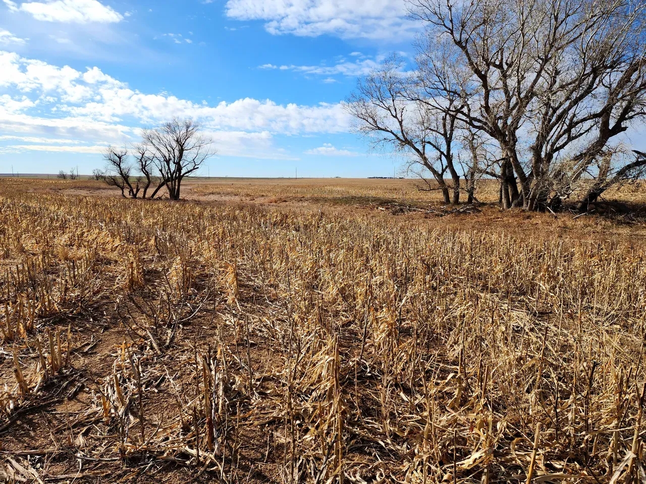 Section of Prime Cropland Pasture with Mostly Class II Soils - Hunting ...