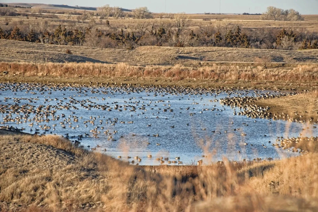 World-Class North Central Kansas Wildlife Management Property in ...