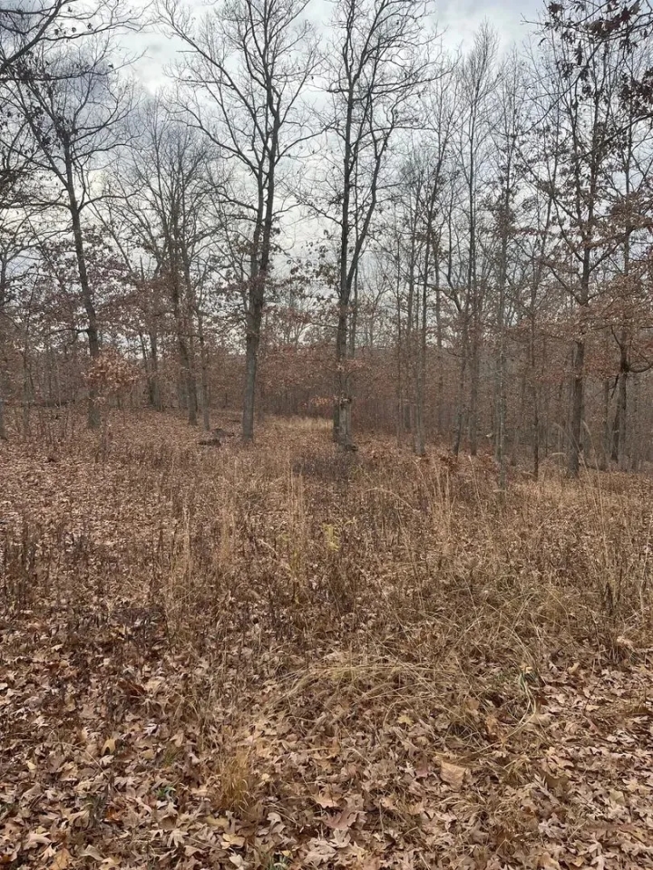 Heller s Hideaway - Hunting Land for Sale - HuntingLocator.com - HuntingLocator.com