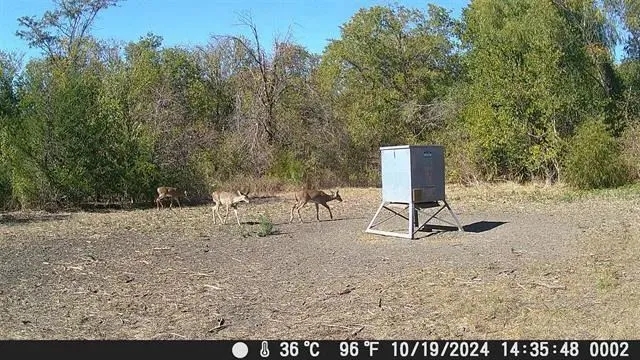 Lopez Ranch - Hunting Land for Sale - HuntingLocator.com ...