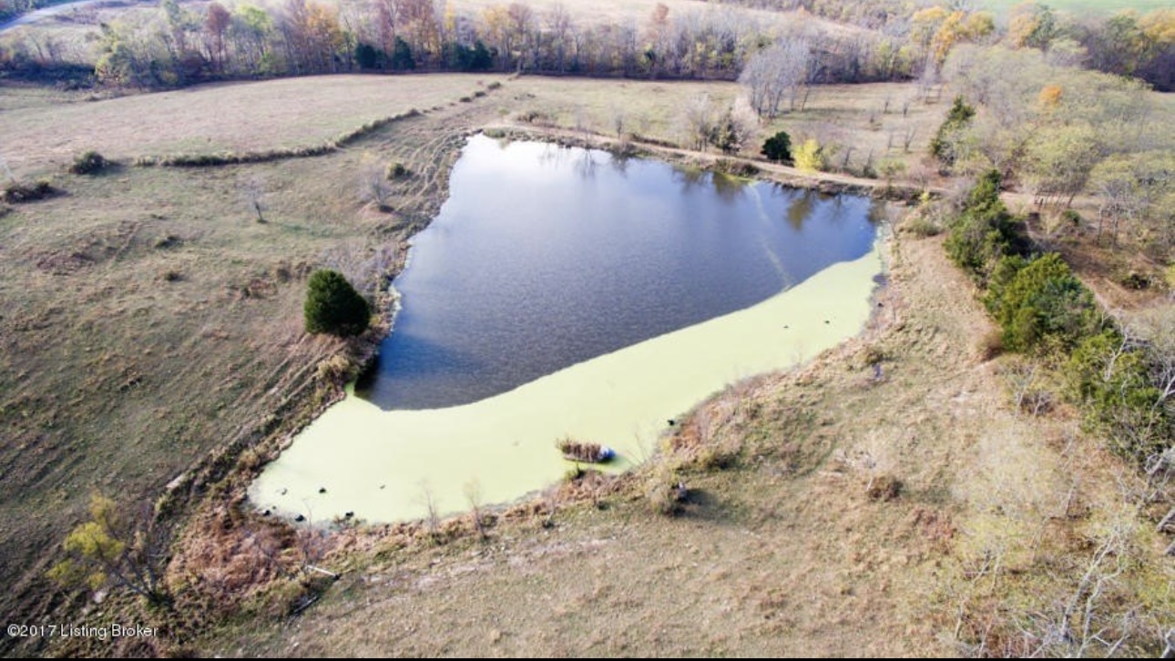 300 acre exclusive turkey lease - Hunting Leases - HuntingLocator.com