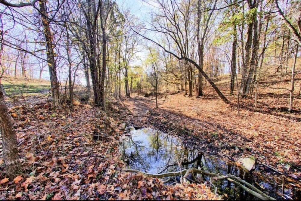 300 acre exclusive turkey lease - Hunting Leases - HuntingLocator.com