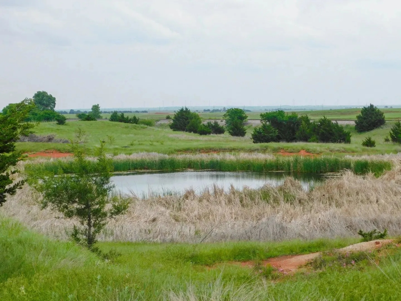 129 Acres Ponds Pasture Timber Building Tracts More - Hunting Land for ...