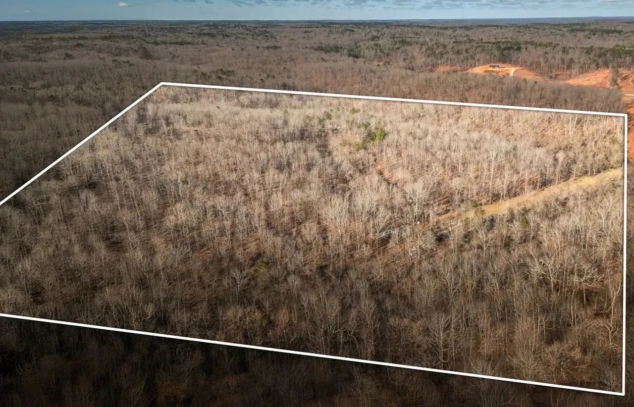 Winona Pioneer Point - Hunting Land for Sale - HuntingLocator.com - HuntingLocator.com