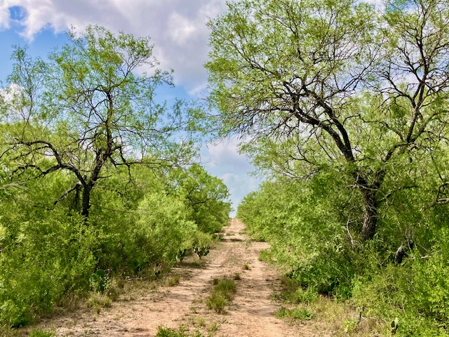 (LEASED/NOT AVAILABLE) Wyatt Ranches - Parr Los Horcones de Tres Vidas ...