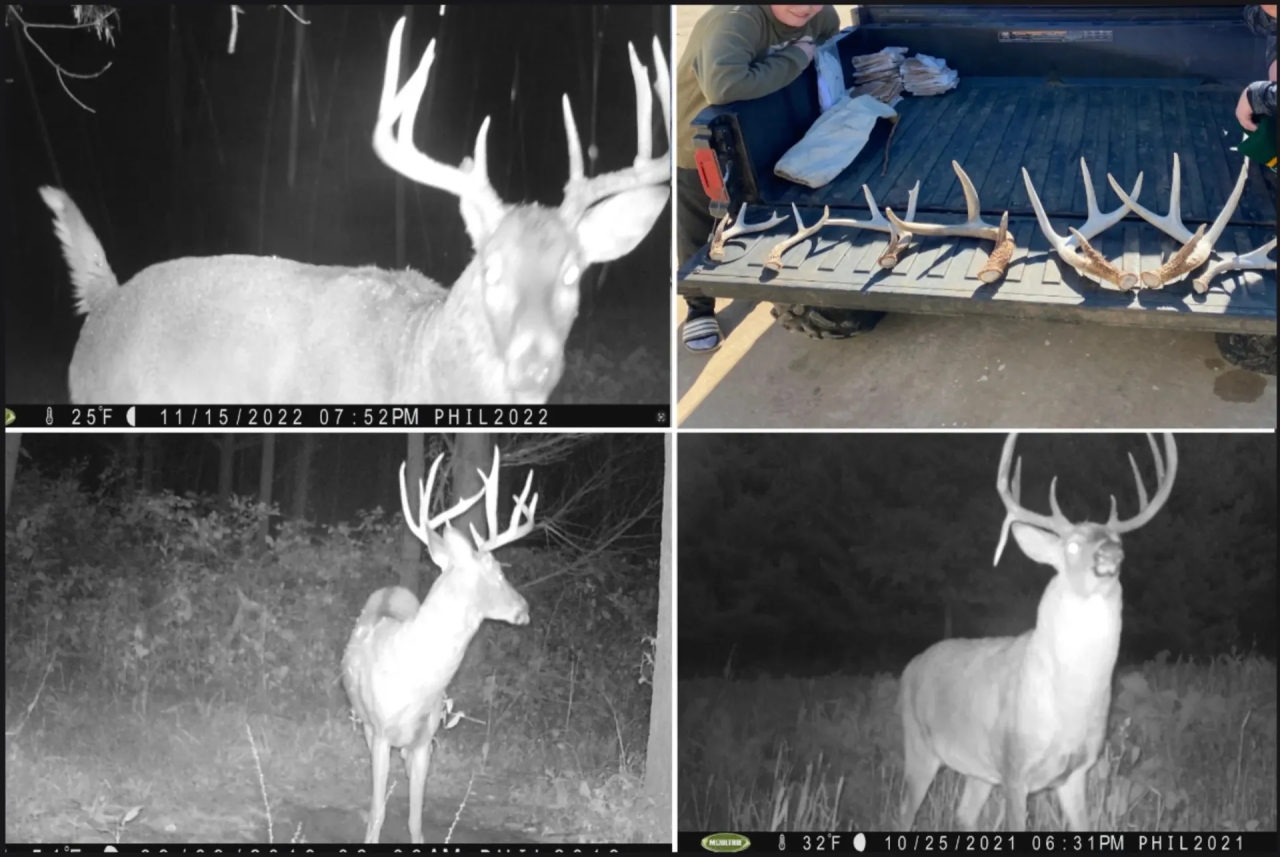 Hunting Land for Sale in Richland County Wisconsin - Hunting Land for ...