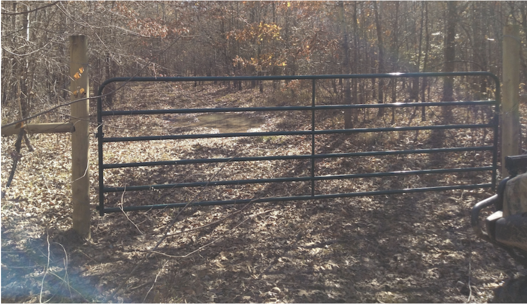 Available NOW! Hunting lease with cabin, electric, and pond. Deer ...