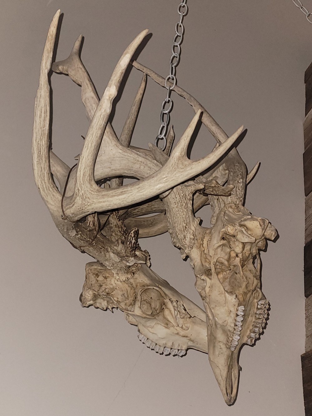 Kansas Unit 16 Whitetail lease - Hunting Leases - HuntingLocator.com