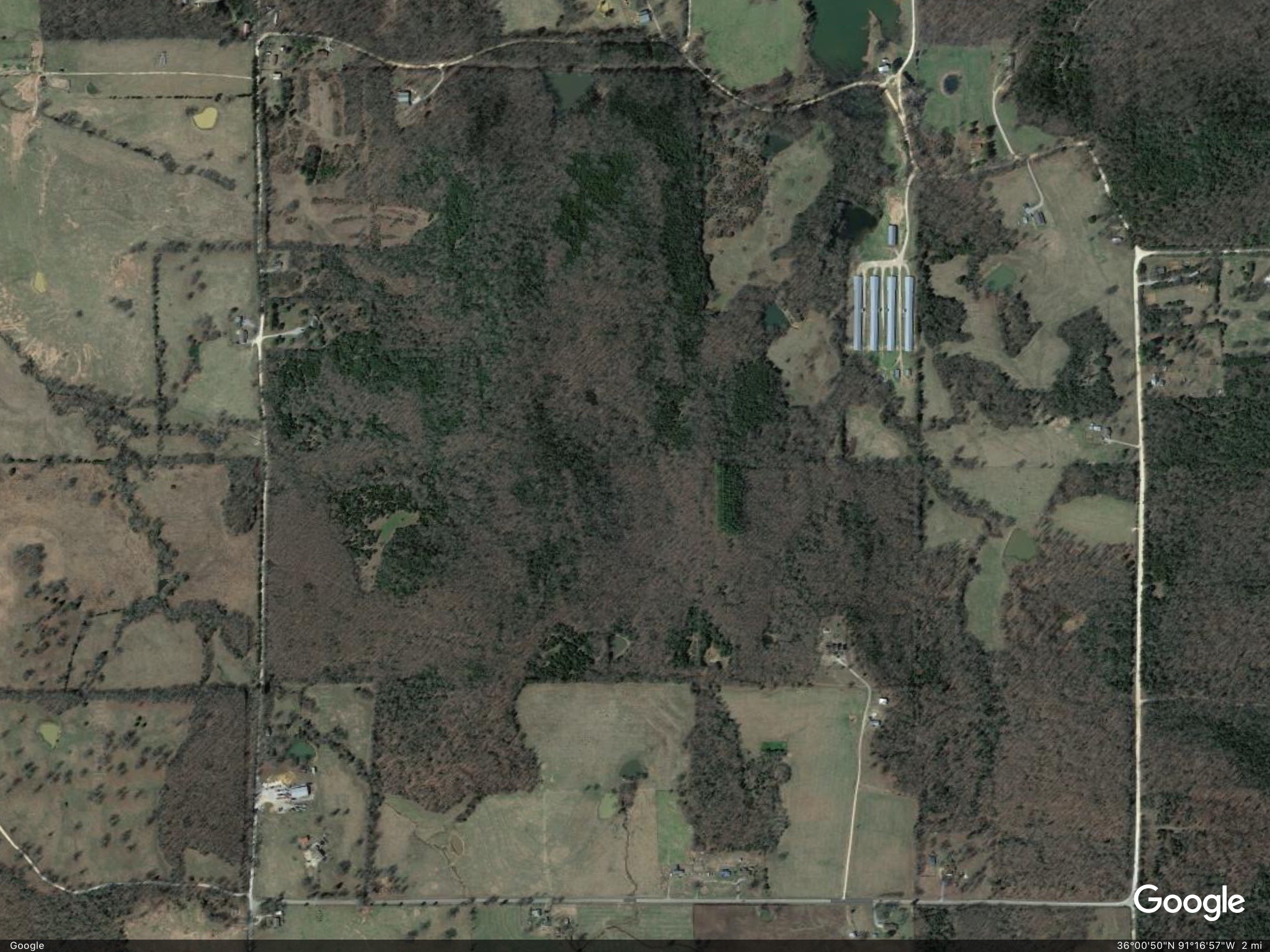 Deer Hunting Land, 220 acres near Lynn, Arkansas, Bunkhouse with ...