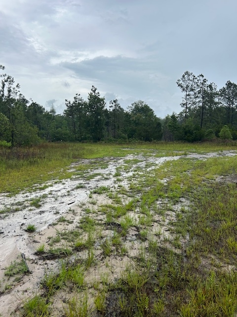 760 acres in Yulee, Florida - Hunting Leases - HuntingLocator.com