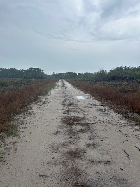 760 acres in Yulee, Florida - Hunting Leases - HuntingLocator.com