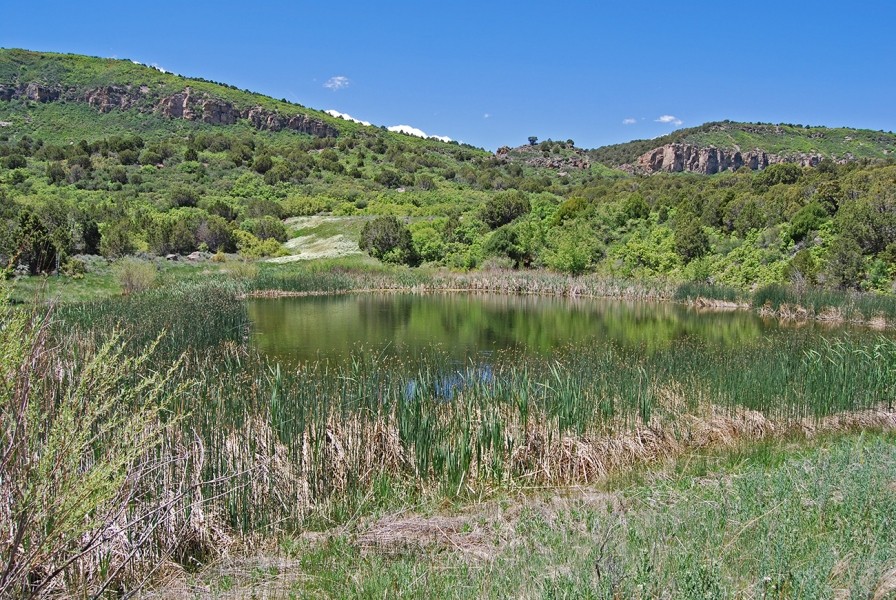 Moore Ranch - Hunting Land for Sale - HuntingLocator.com ...