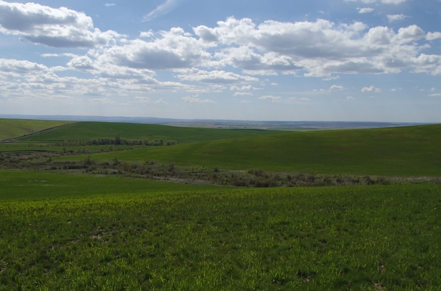 Athena Crop and Range Parcels - Hunting Land for Sale - HuntingLocator ...