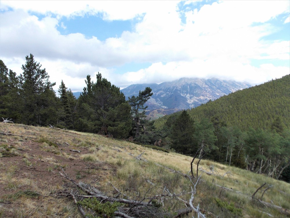Forbes Wagon Creek Ranch - Lot 488 - Hunting Land for Sale ...