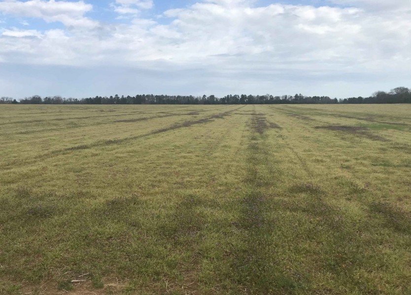 Open Farmland Timber - Hunting Land for Sale - HuntingLocator.com ...