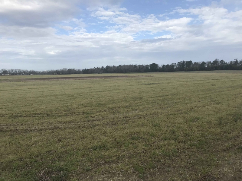 Open Farmland Timber - Hunting Land for Sale - HuntingLocator.com ...