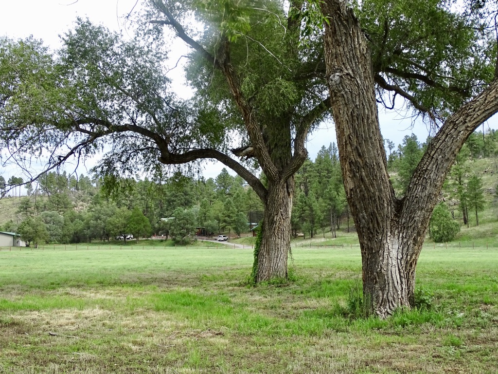 Salt Creek Ranch - Hunting Land for Sale - HuntingLocator.com ...