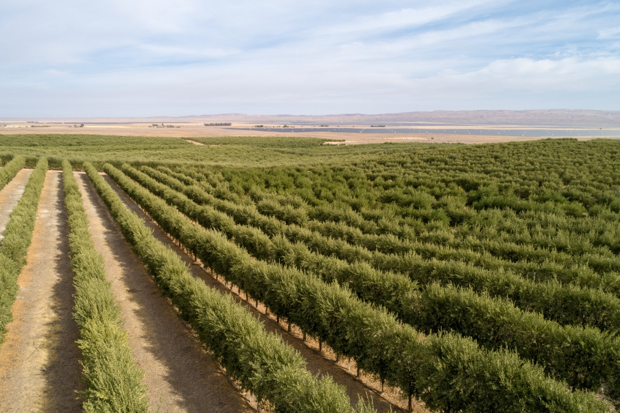 La Panza Ranch - Hunting Land for Sale - HuntingLocator.com ...