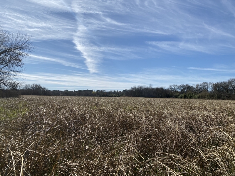 Sandy Branch Ranch - Hunting Land for Sale - HuntingLocator.com ...