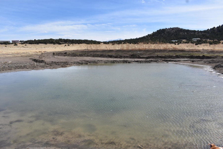 36 Major Ranch Phase 1 - Hunting Land for Sale - HuntingLocator.com ...