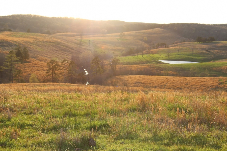 Zanoni Mills Luxury Ranch For Sale in Southern MO - Hunting Land for ...