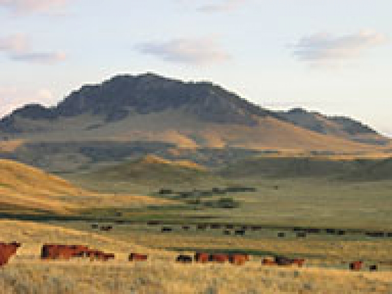 IX Ranch - Hunting Land for Sale - HuntingLocator.com - HuntingLocator.com