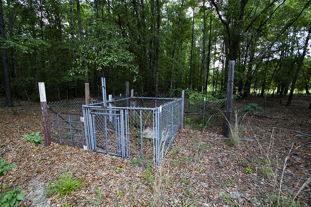 112.77 Acres of Hunting Land with a Home - Hunting Land for Sale ...