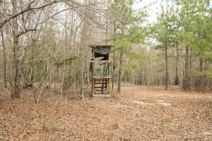 Low Falls - Hunting Land for Sale - HuntingLocator.com - HuntingLocator.com