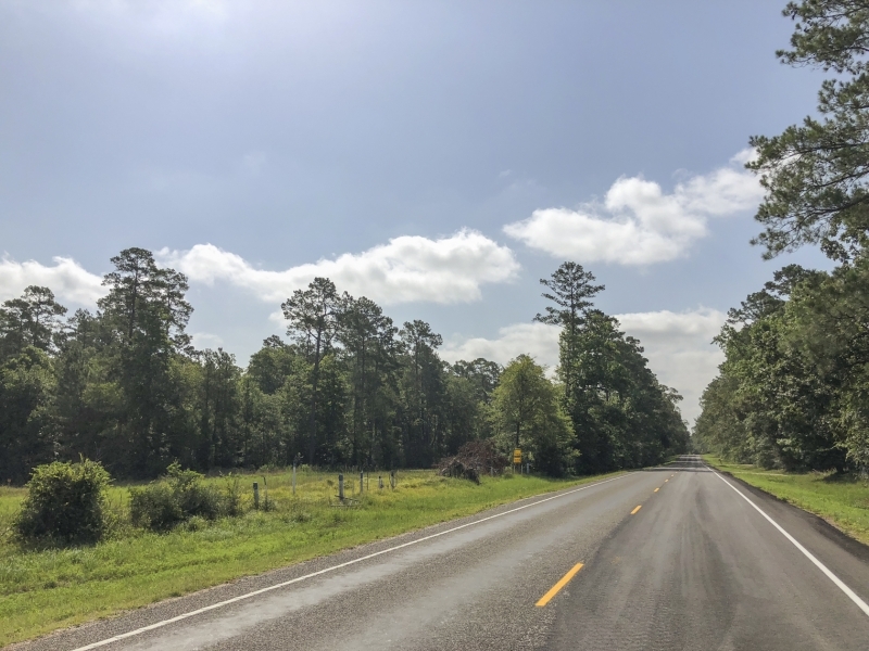 25 Acres FM 247 - Hunting Land for Sale - HuntingLocator.com ...