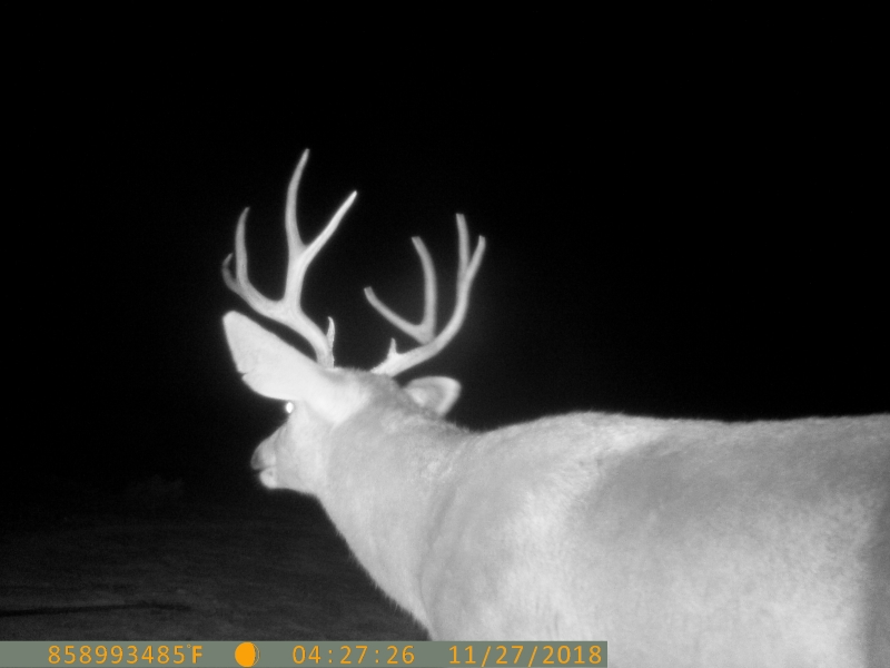 East Rim Ranch - Hunting Land for Sale - HuntingLocator.com ...