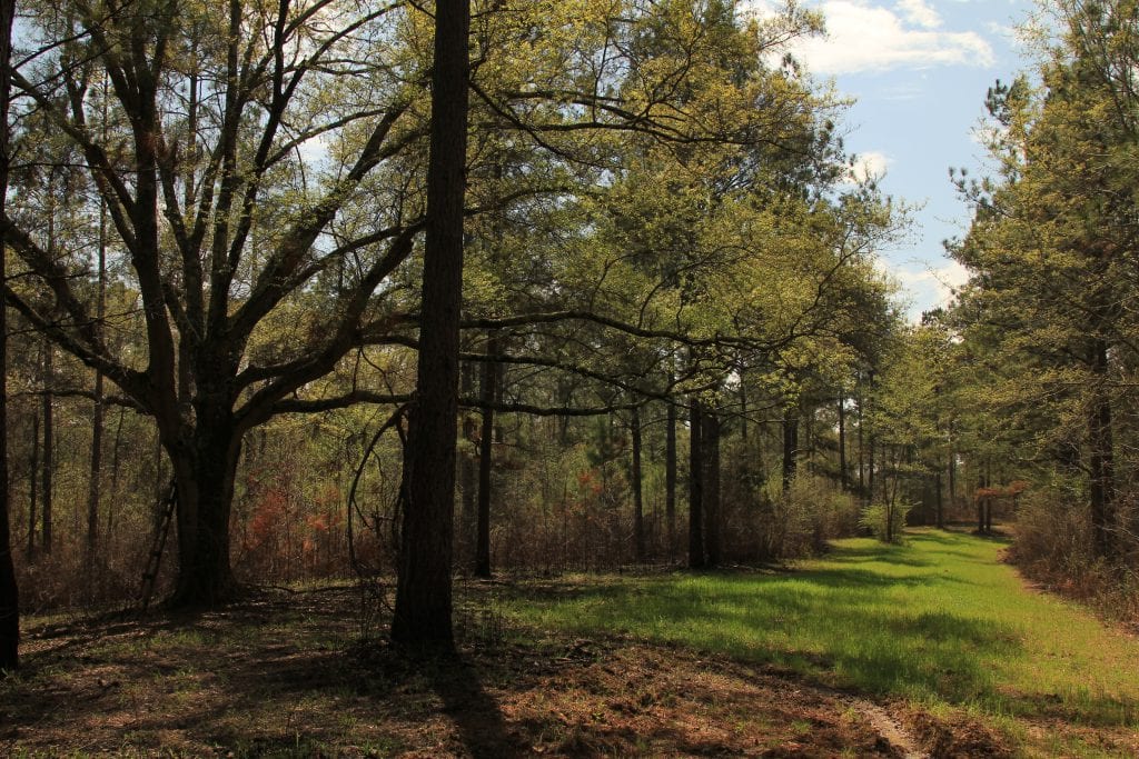 The 5-J Ranch - Hunting Land for Sale - HuntingLocator.com ...