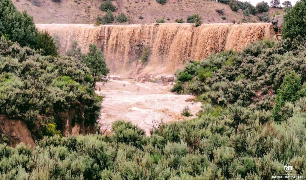 Chama River Canyon Ranch - Hunting Land for Sale - HuntingLocator.com ...