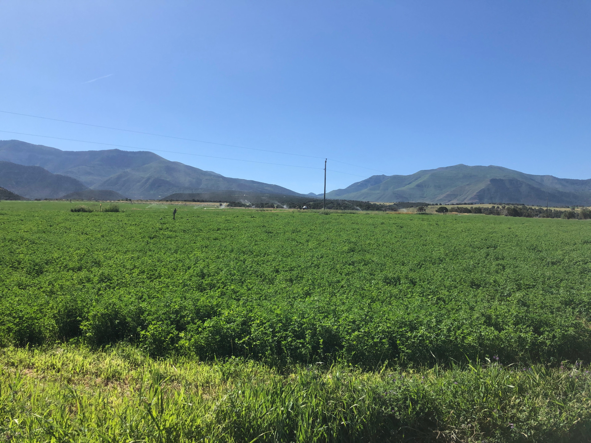 4K Quarter Circle Ranch - Hunting Land for Sale - HuntingLocator.com ...