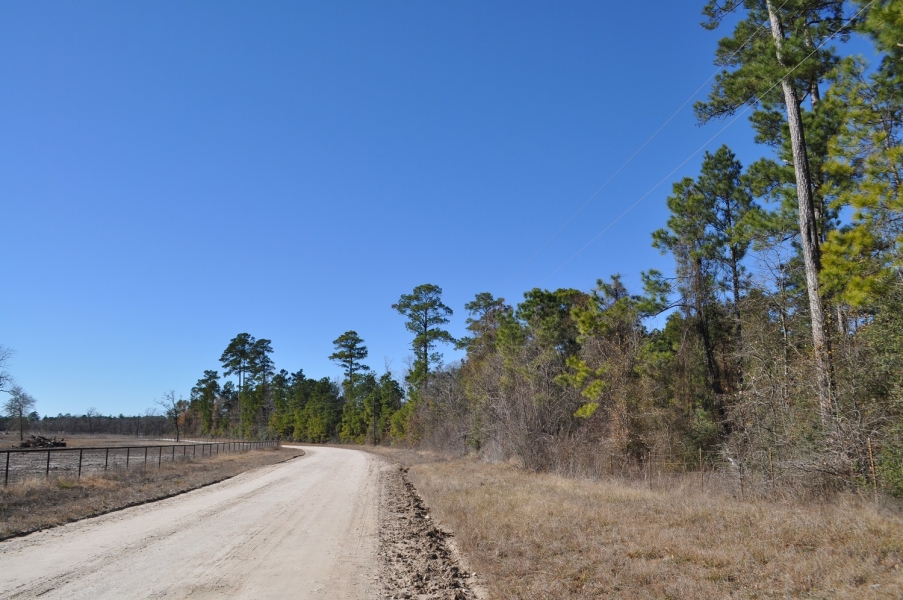 256 Acres Hopewell Forest - Hunting Land for Sale - HuntingLocator.com ...