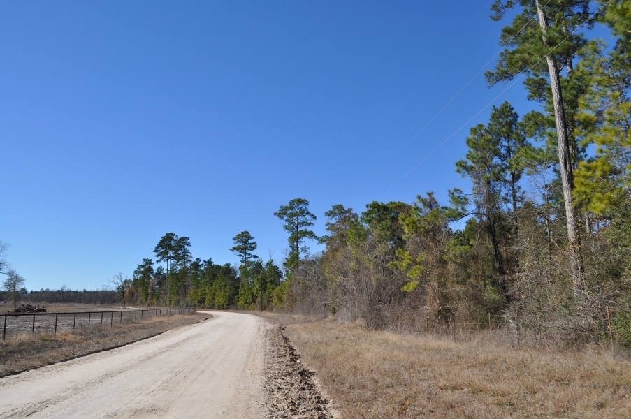 256 Acres Hopewell Forest - Hunting Land for Sale - HuntingLocator.com ...