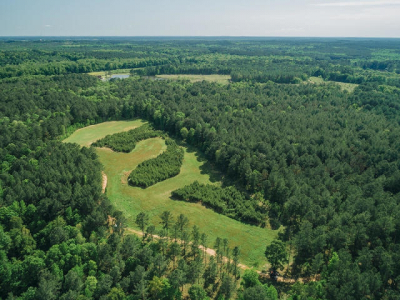 High Fence Hunting Ranch with Log Lodge - Hunting Land for Sale ...