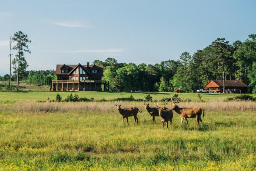 High Fence Hunting Ranch with Log Lodge - Hunting Land for Sale ...