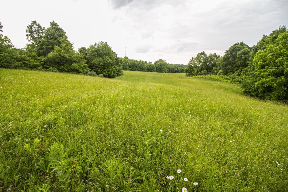 Slaughter Hill Rd - 33 acres - Guernsey County - Hunting Land for Sale ...