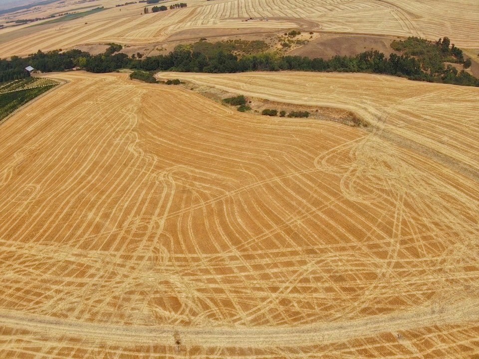 Foster Road Property - Hunting Land for Sale - HuntingLocator.com ...